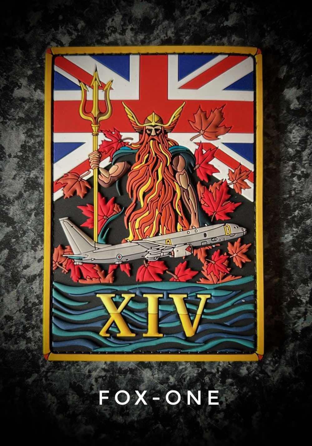 P8 Course 14 Colour – Fox-One